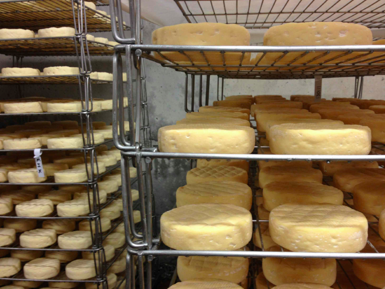 Willoughby — Jasper Hill Farm