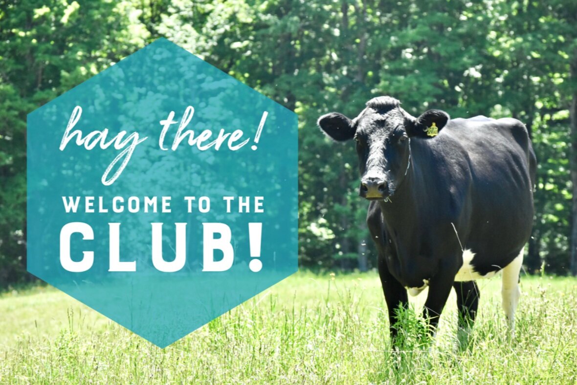 CHEESE GIFTS — Jasper Hill Farm