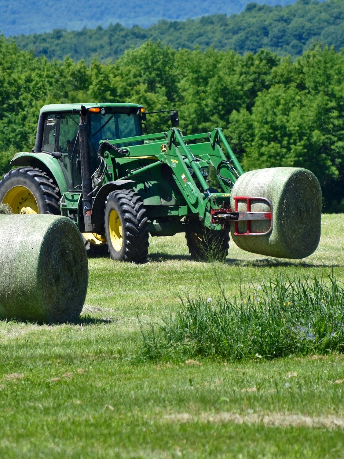 Jasper Hill Farm - A Taste of Place