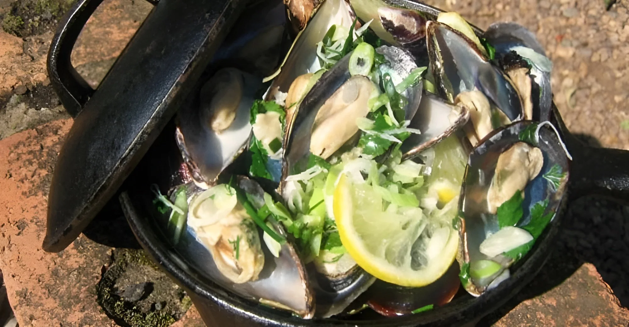 Mussel Potjie Recipe — Jackie Cameron School of Food & Wine
