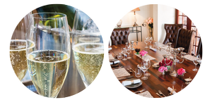 Elegant Dining Essentials - Table Etiquette 101