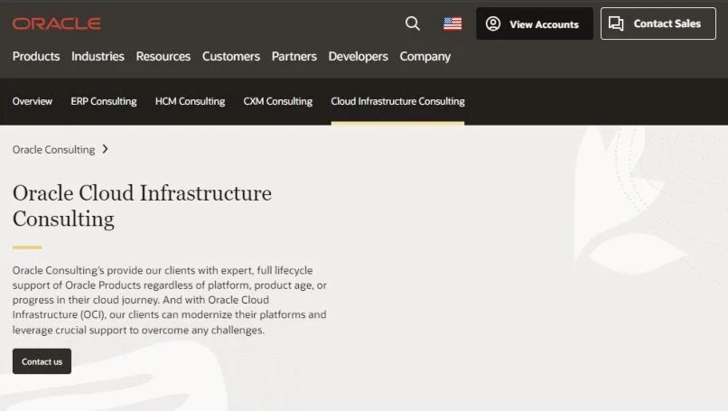 Top 10 Oracle Consulting Companies — Jake Jorgovan