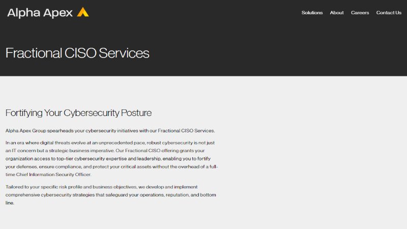 Top 11 Interim & Fractional CISO (Chief Information Security Officers ...
