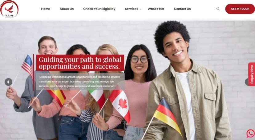 Top 11 International Business & Global Expansion Consultants — Jake Jorgovan