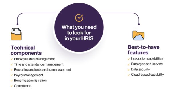 Steps for Choosing the Right HRIS System — Jake Jorgovan