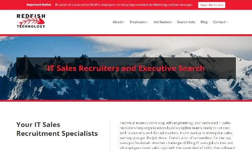 Top 11 Tech & Software Sales Recruiters, Recruitment Companies ...