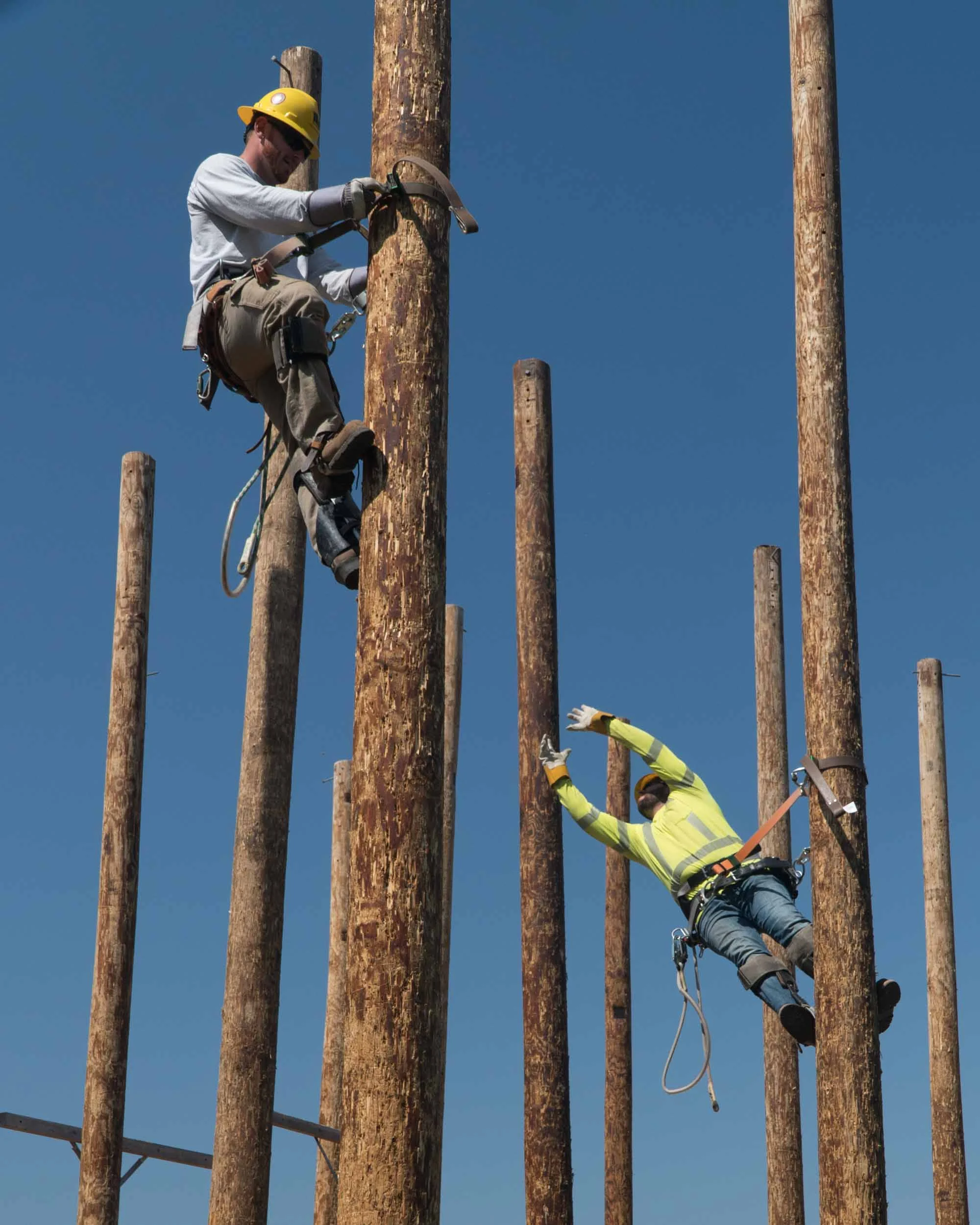 IBEW Training Center — DESIGN BUILD LLC