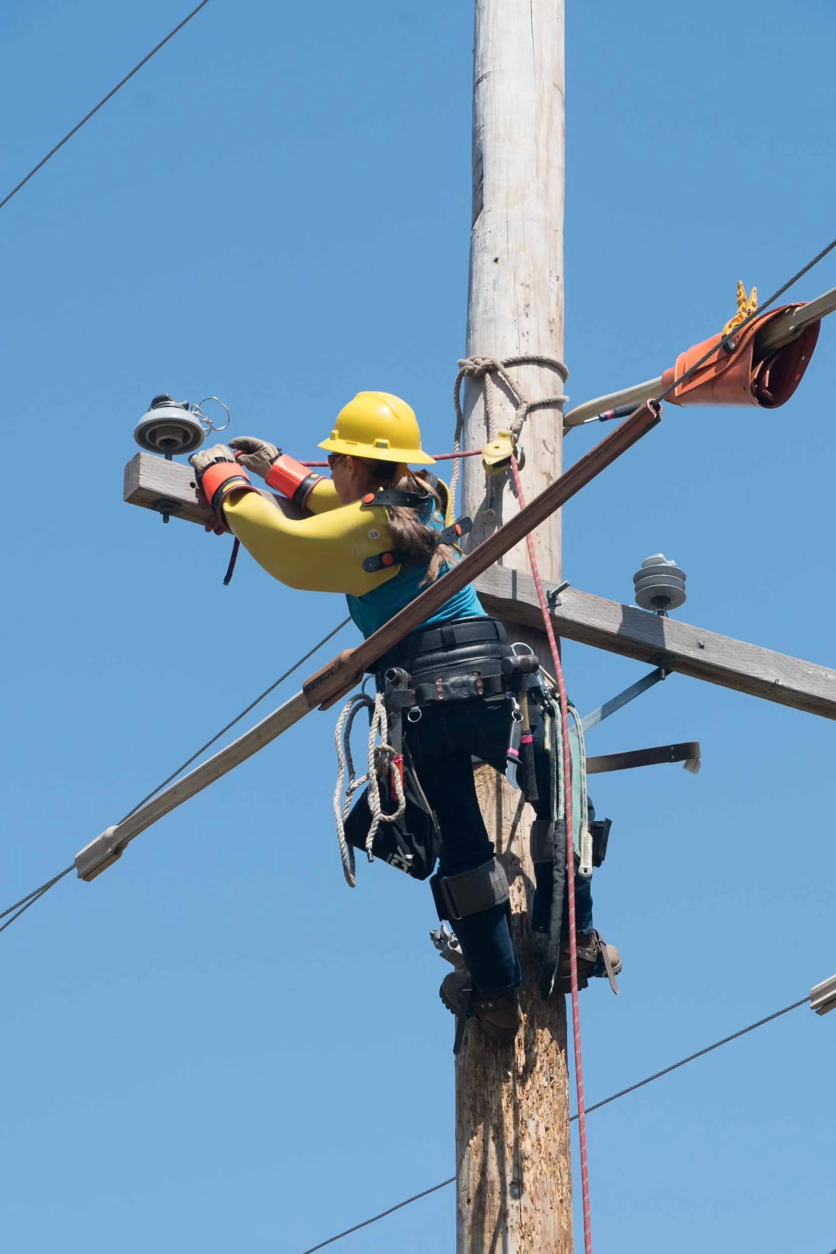 IBEW Training Center — DESIGN BUILD LLC