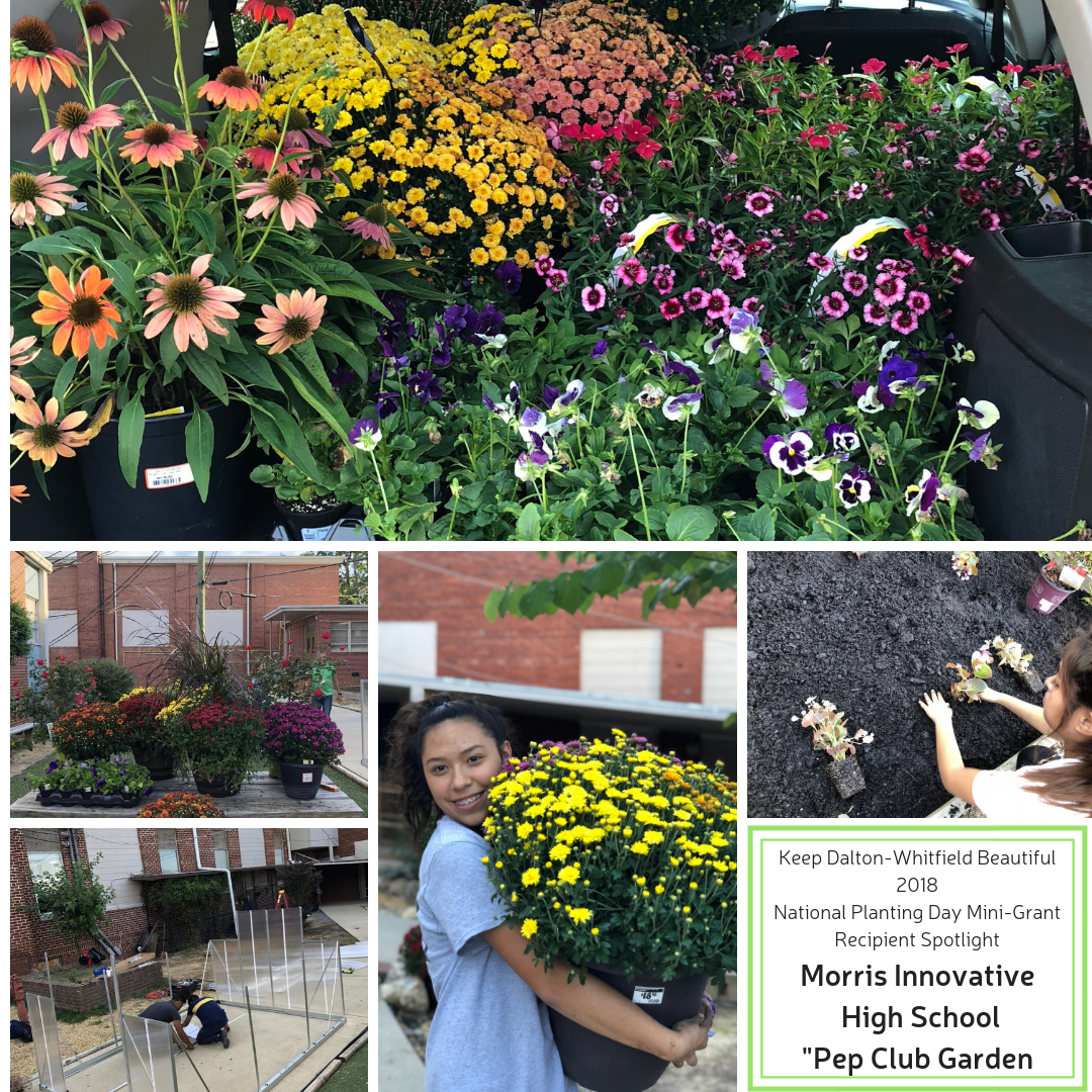 Garden Club Ideas For Elementary School 3r reviews garden-club-ideas-for-elementary-school-3r-reviews