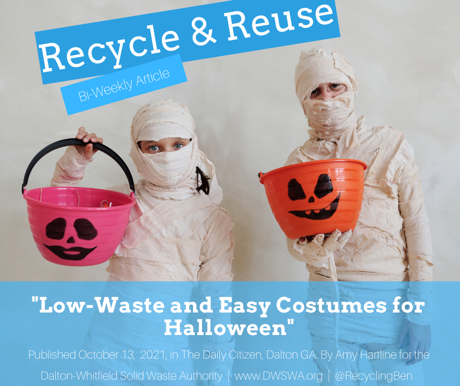 Low-Waste and Easy Costumes for Halloween — Dalton-Whitfield Solid ...