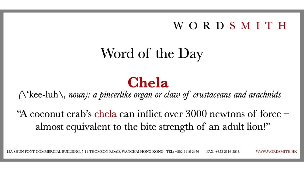 Word of the Day — Wordsmith - Copywriting and Speechwriting in Hong Kong