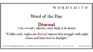 Word of the Day — Wordsmith - Copywriting and Speechwriting in Hong Kong