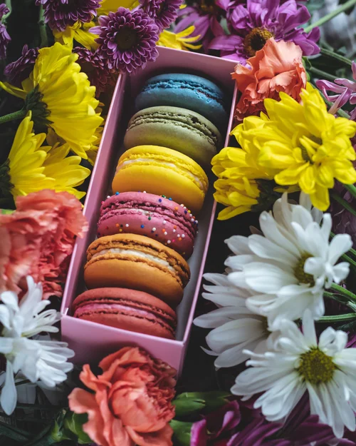 Farina Bakery | Handcrafted Macarons, Pastries, Cupcakes and Cake Slices