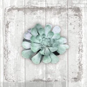 Botanical - Trees — T.S.B. and Co.