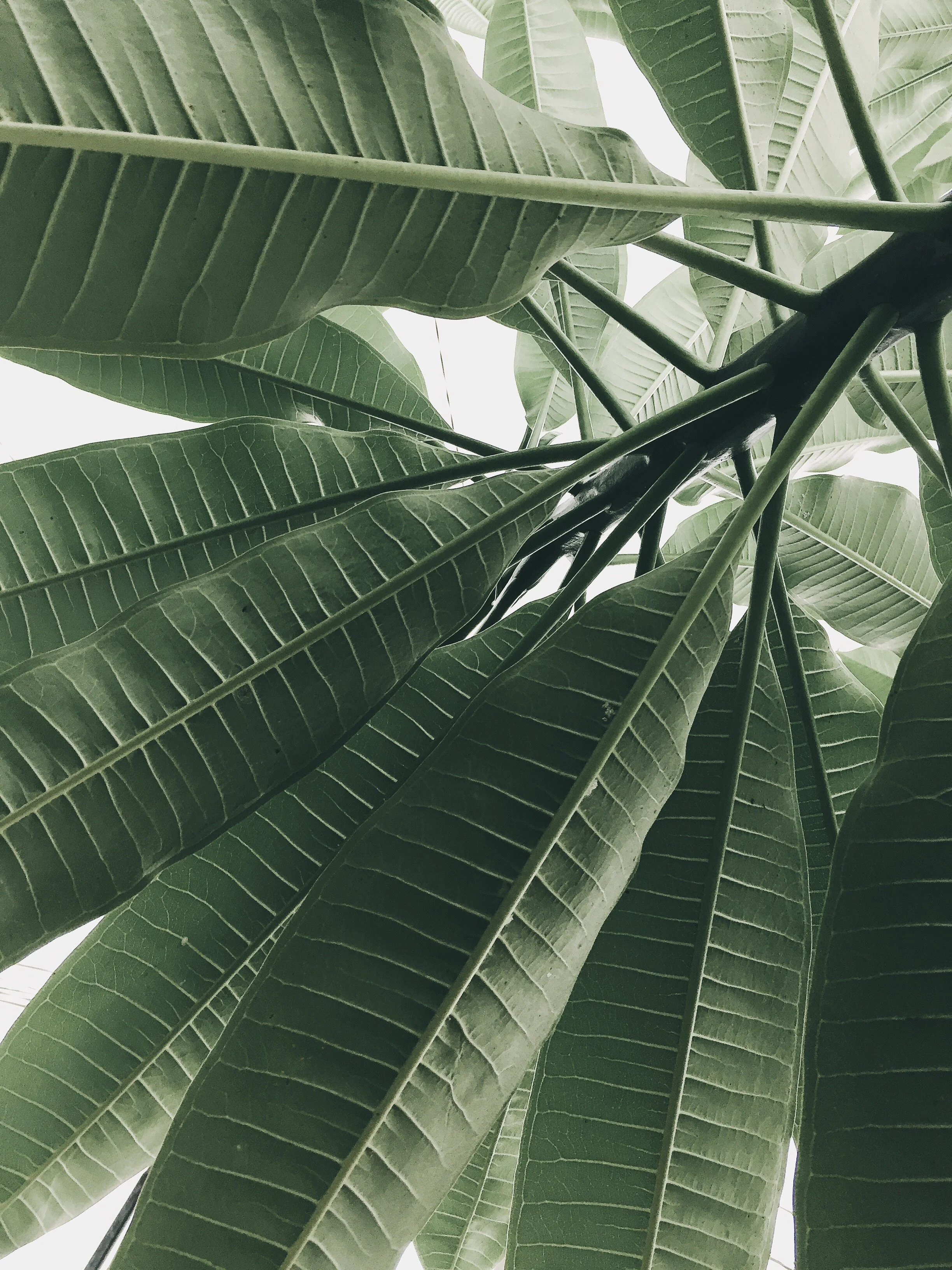 About — Lisa Munro