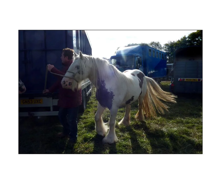 Horses — Keith Cardwell