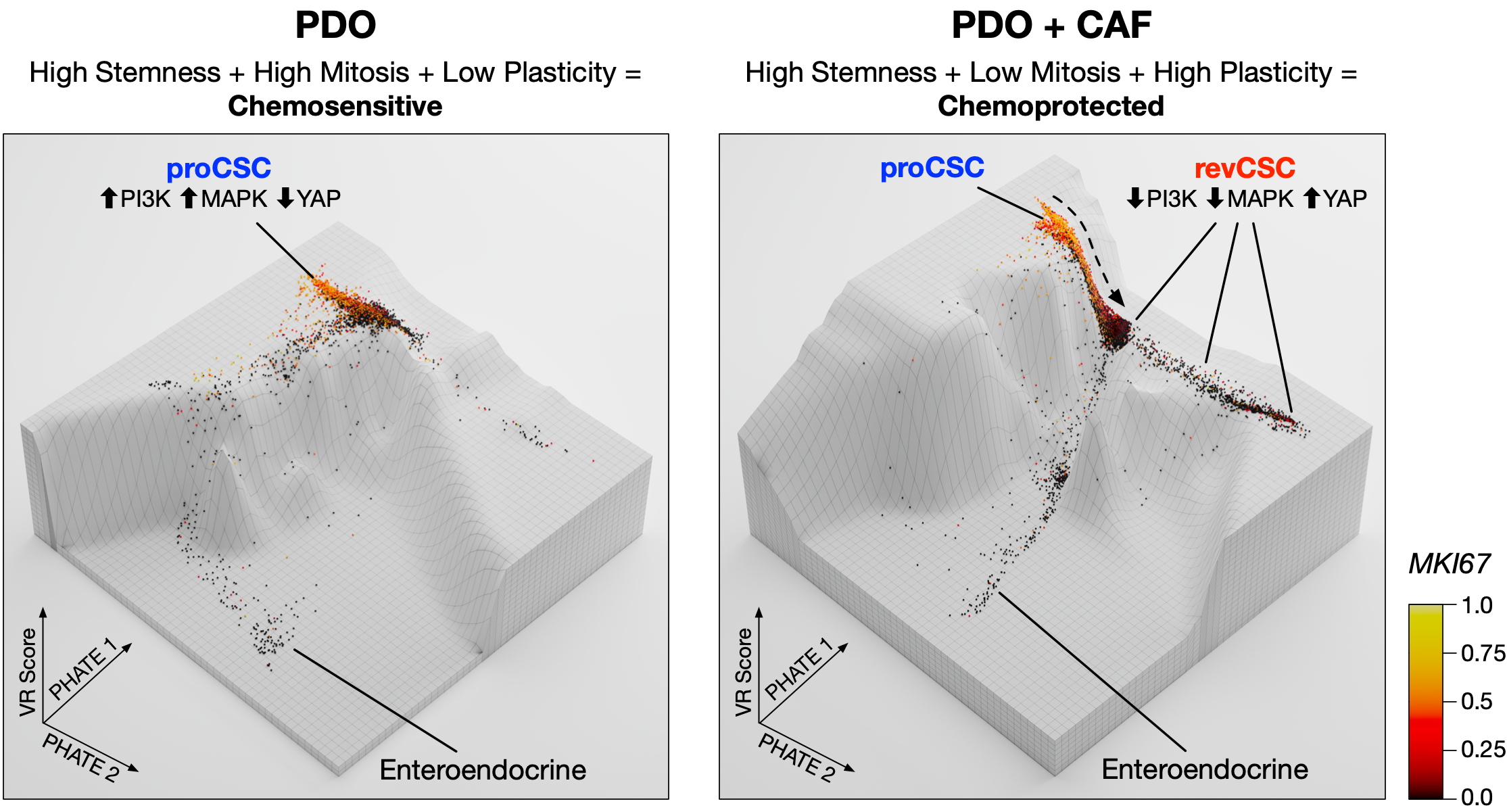 RESEARCH (New) — TAPE Lab