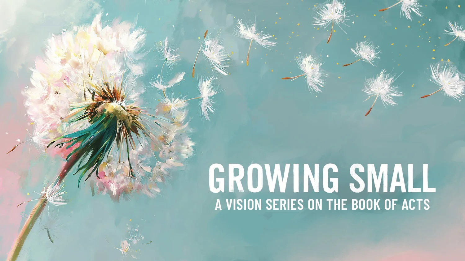 Grace in Every Place — Third Church