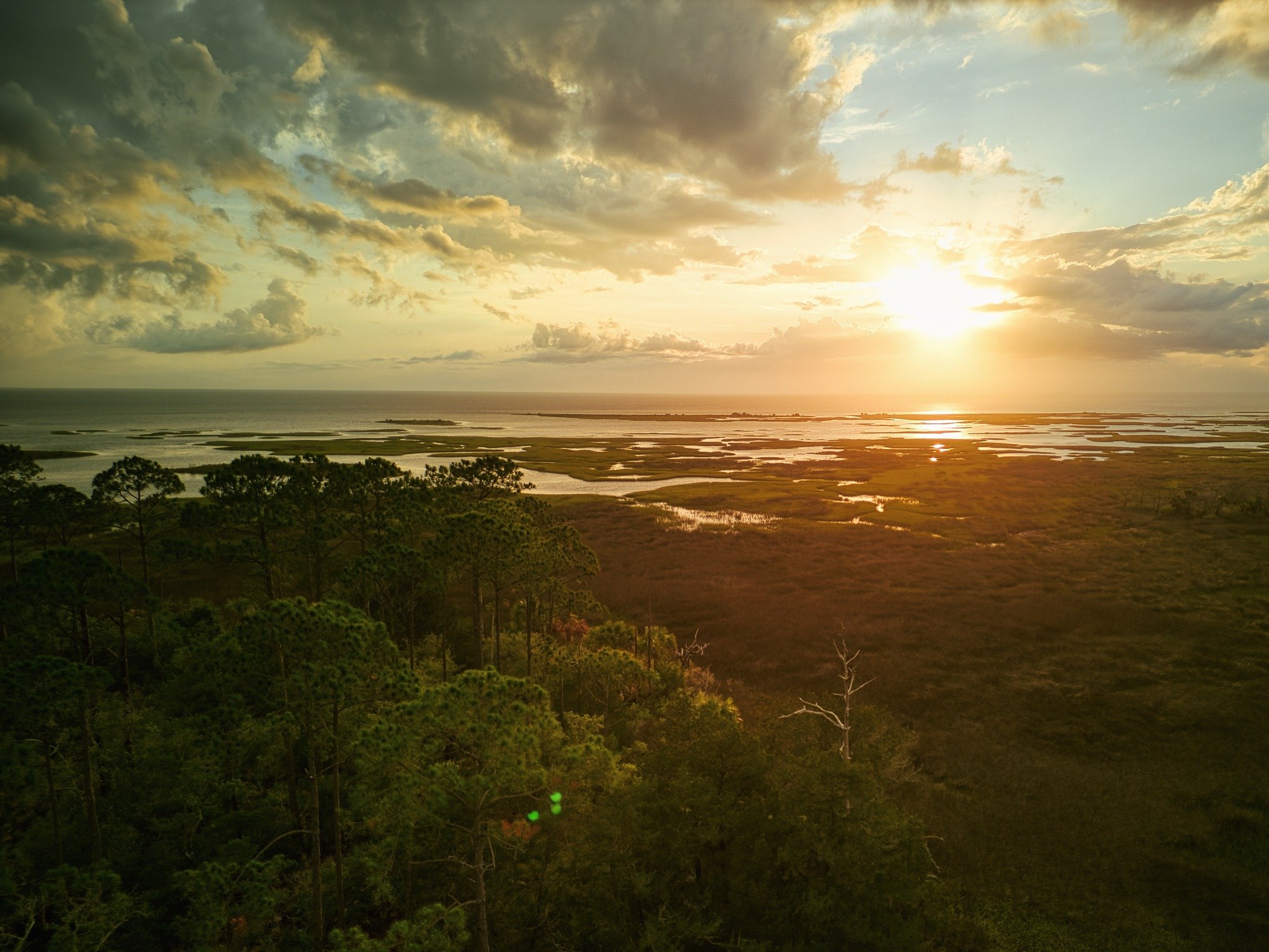 Steinhatchee.com