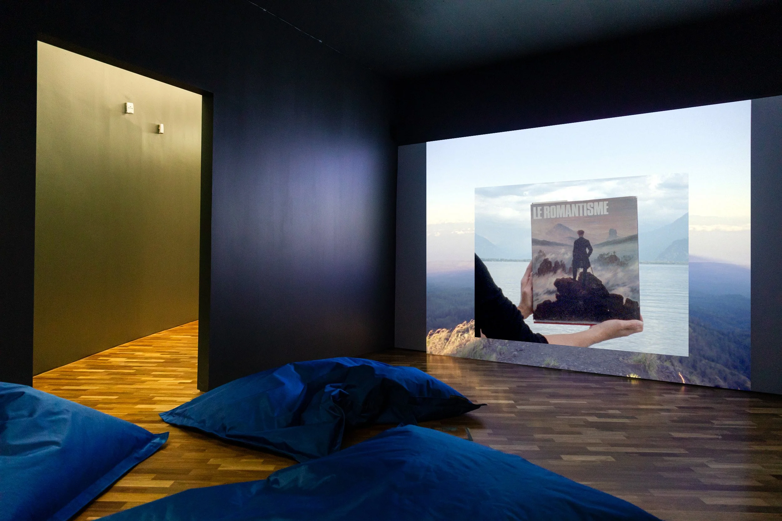 The Year Without a Summer — Elise Rasmussen