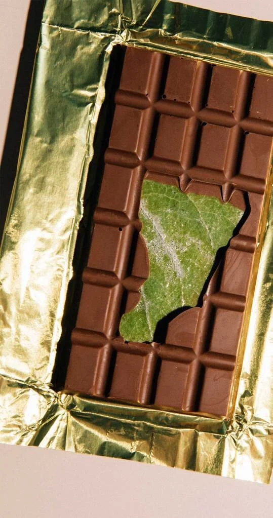 Chocolate — Field & Florist