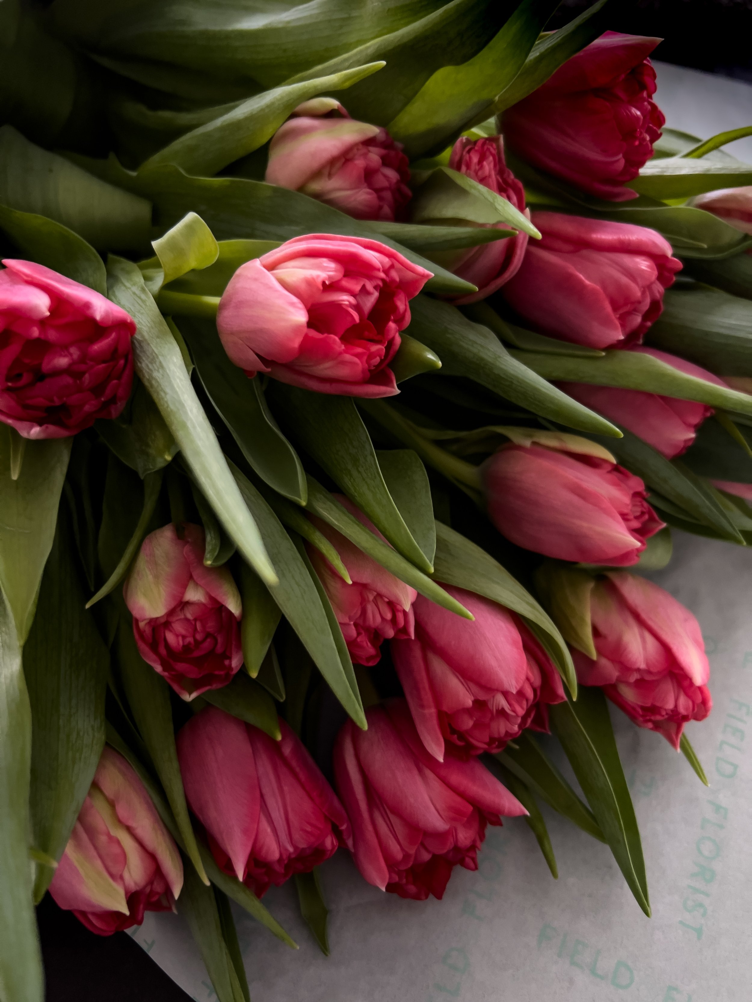 Floral Delivery — Field & Florist