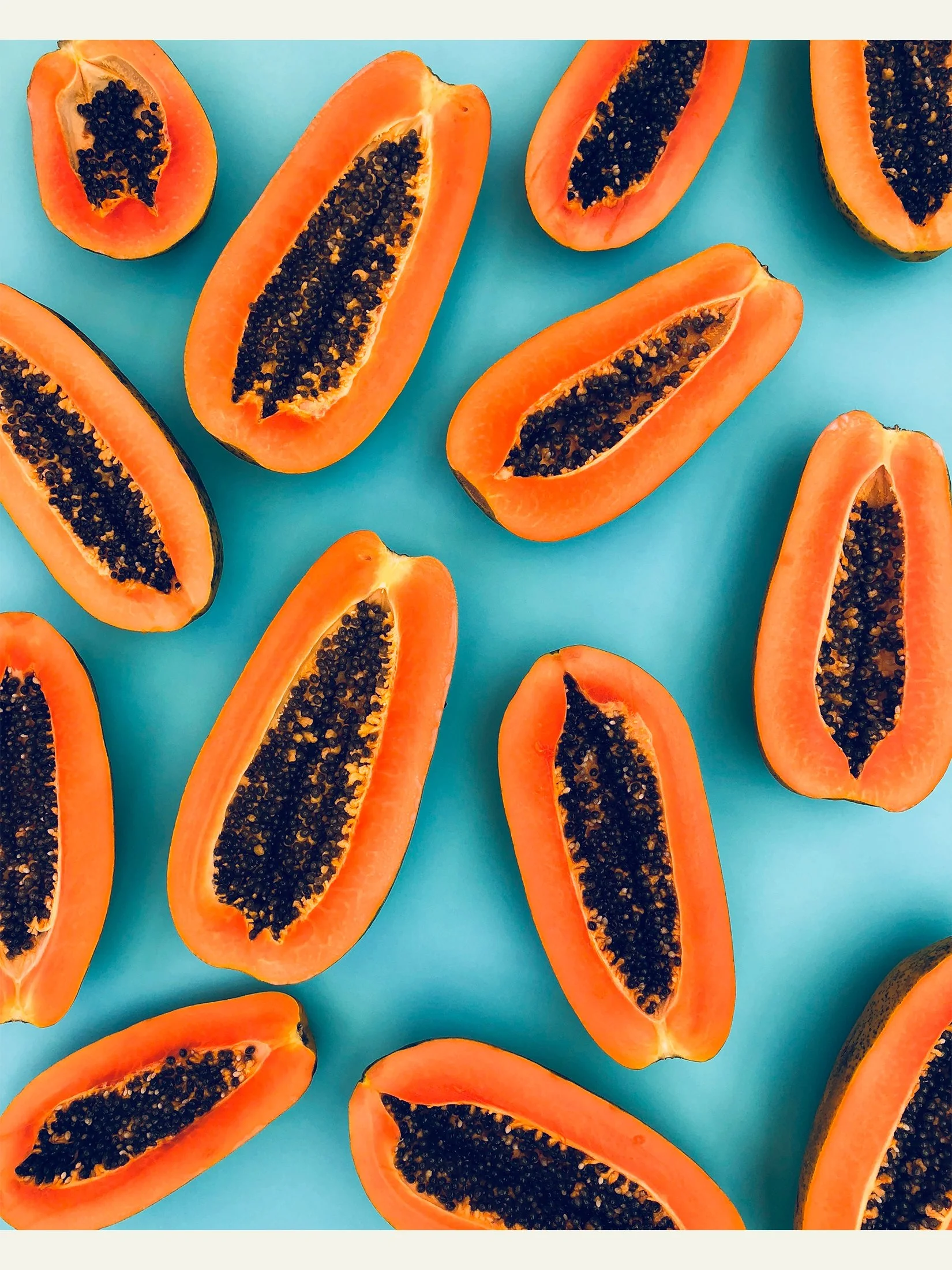 Sliced Citrus Gradient Print — Wright Kitchen