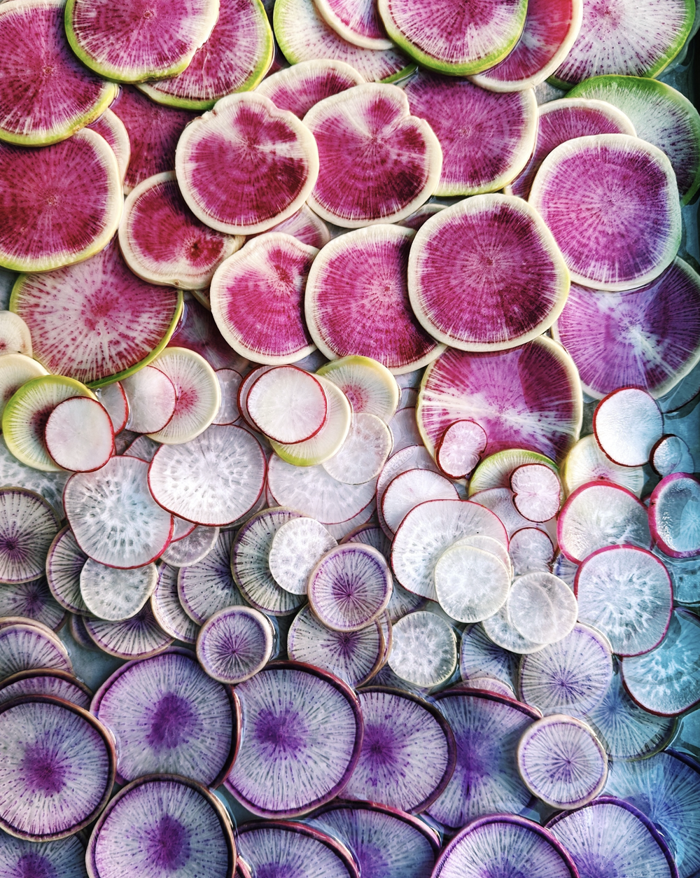 PRINT SHOP — Wright Kitchen