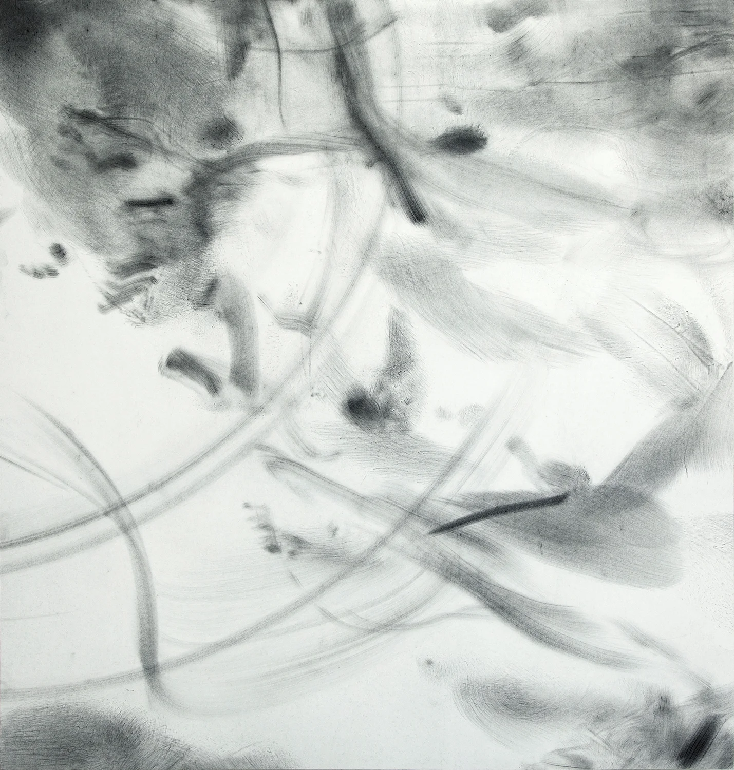 Sarah Warsop
