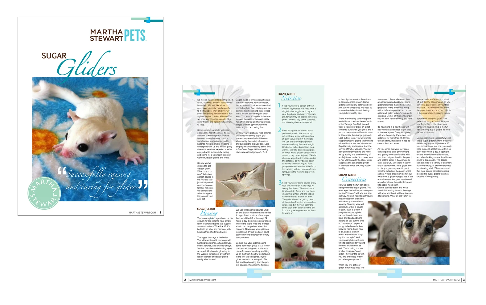 1 Page Magazine Article Layout