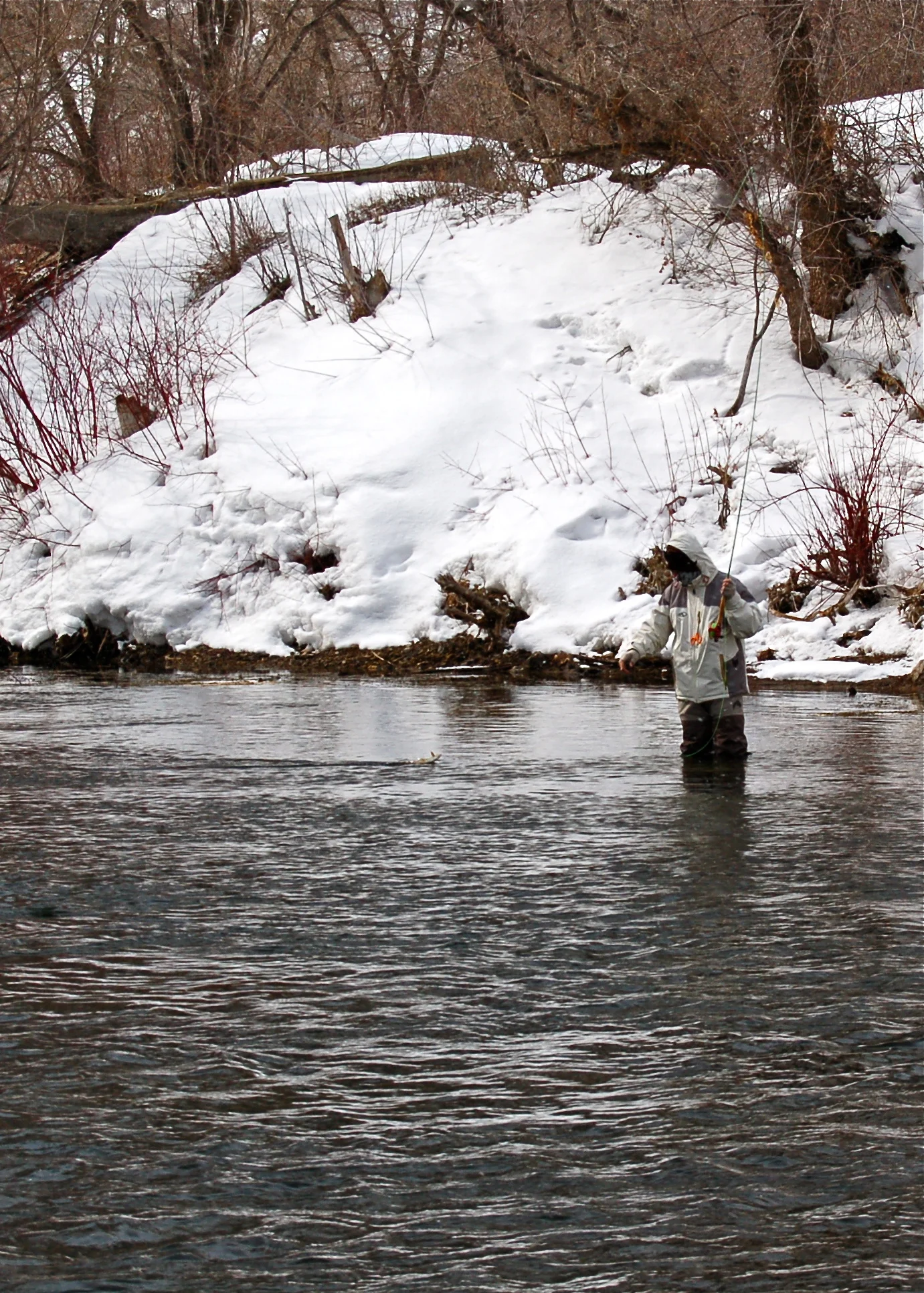 Fly Fishing Blog | Provo River Guide Service | Park City, Utah — Park ...