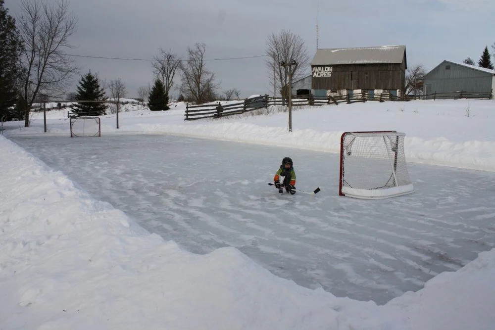 Here's Pictures Of Backyard Rinks In Peterborough & Area — PtboCanada