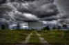 Look: Stunning Images Of The Old Mustang Drive-In — PtboCanada