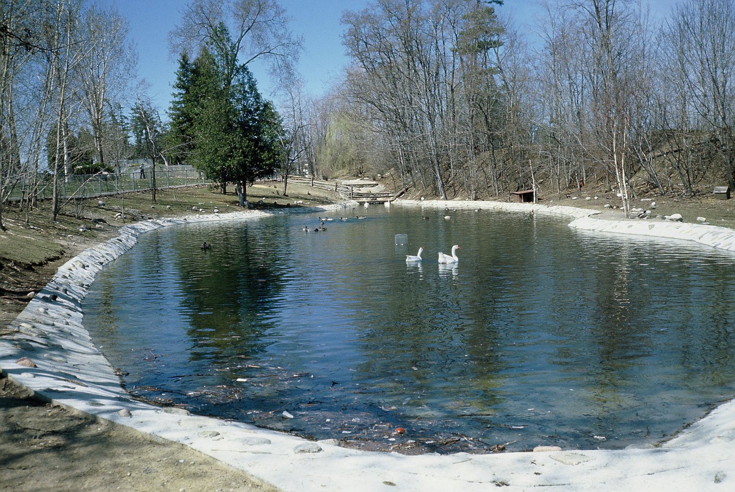 We Built A Zoo: 23 Historical Photos Of The Riverview Park & Zoo ...
