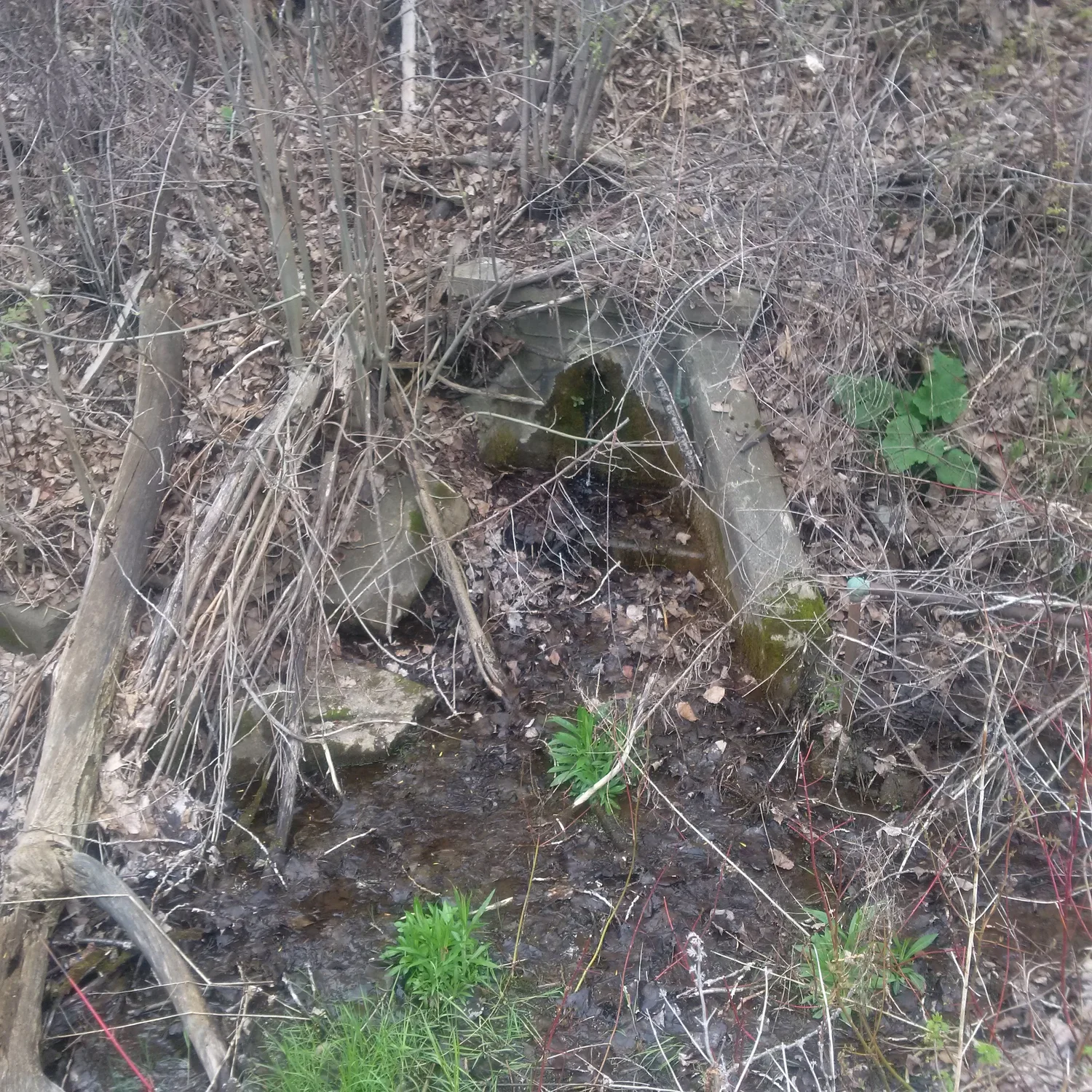 Lost In Time: Old Water Fountain Hidden In Plain Sight Exposed At Lift ...