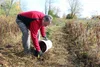 Otonabee Conservation Just Planted 600 Native Trees At Harold Town ...