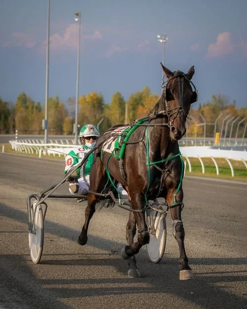 Upcoming Events — PtboCanada