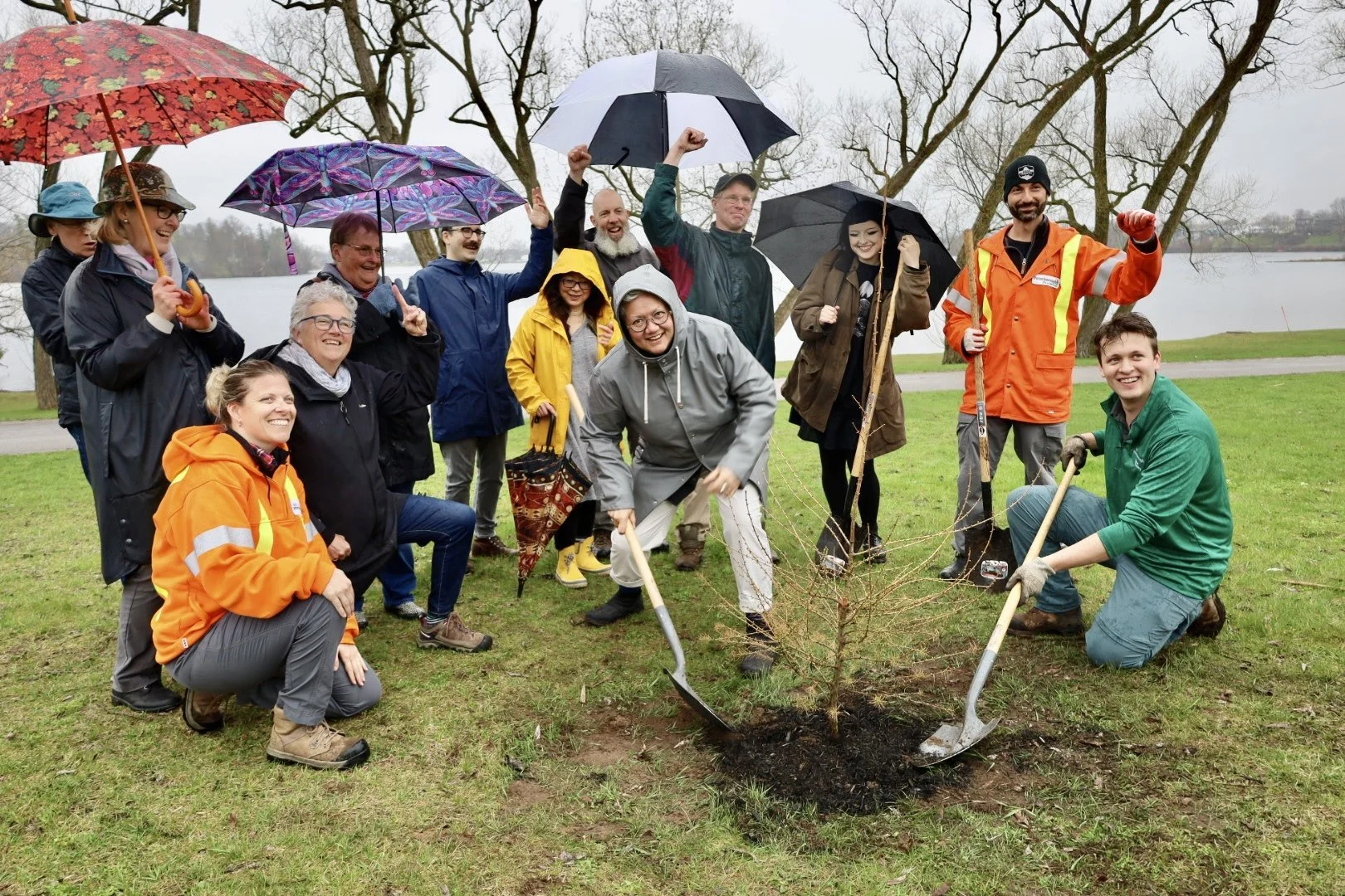 Here Are Pictures Of A Baby Sulawesi Forest Turtle Hatching At ...