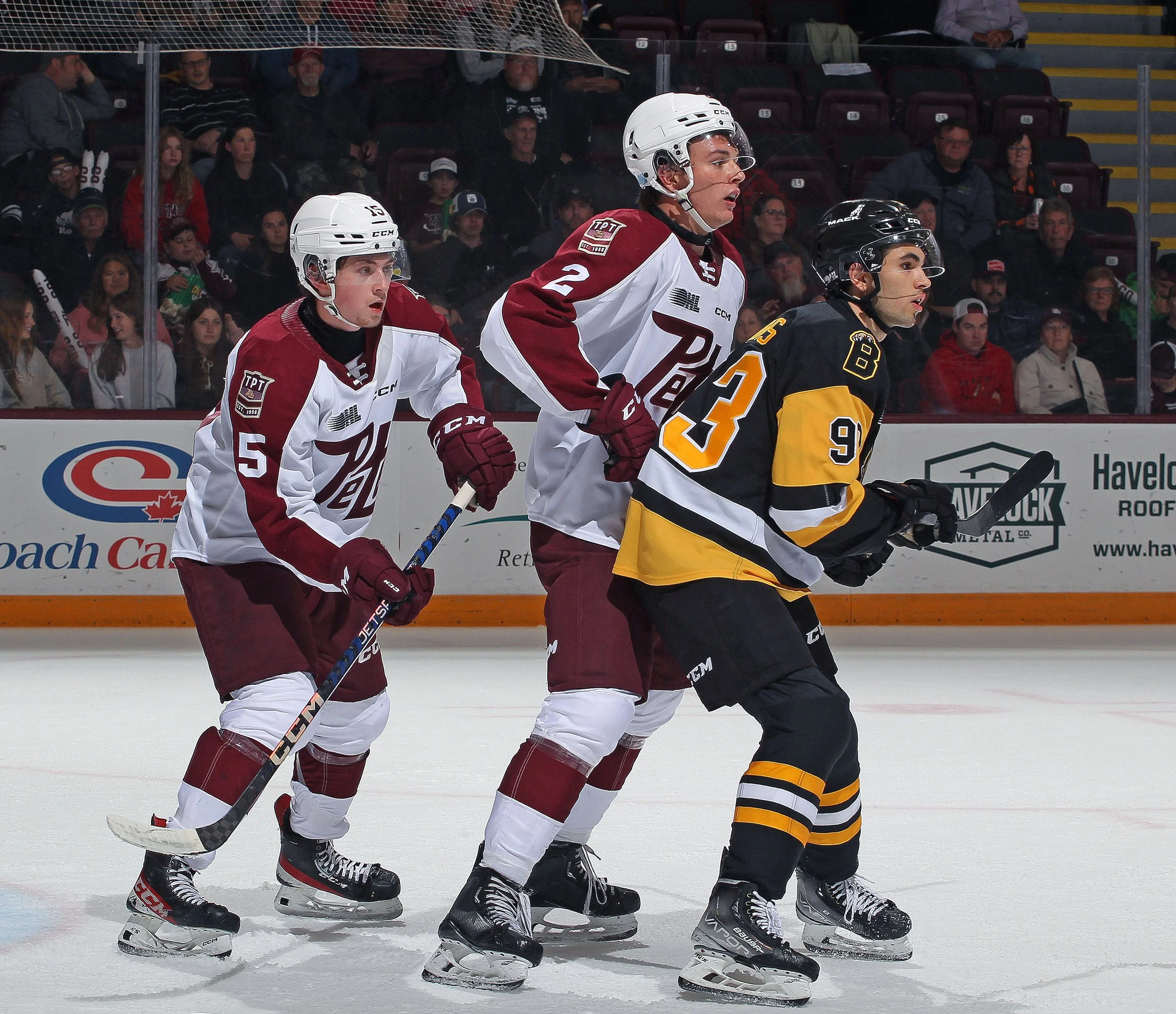 Peterborough Petes Konnor Smith Suspended Four Games, Team Fined $2,000 ...