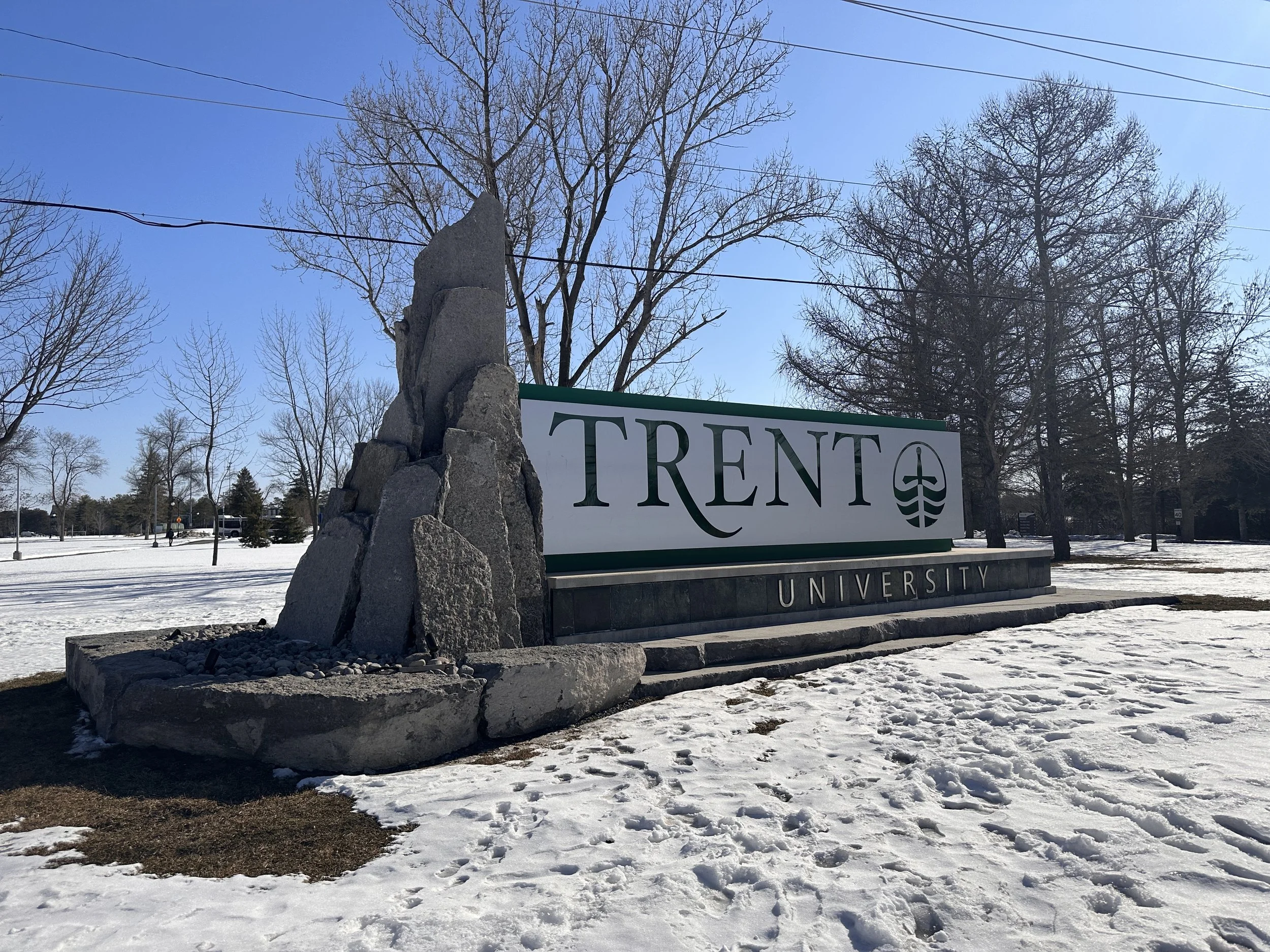 New Students With 95 Per Cent Average Can Earn Trent University Full ...