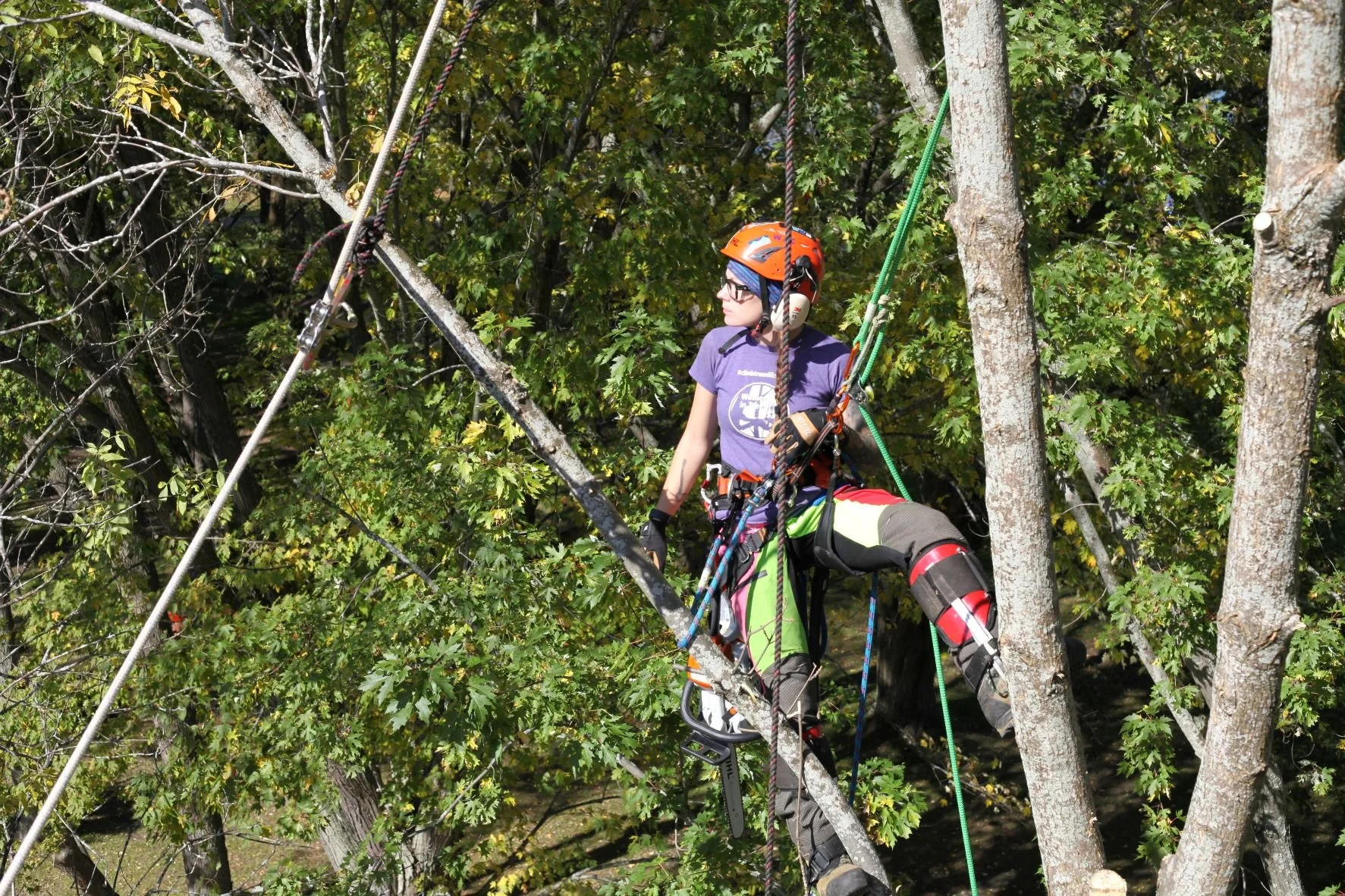 Going Out On a Limb For the 25th Annual Tree Climbing Competition at ...