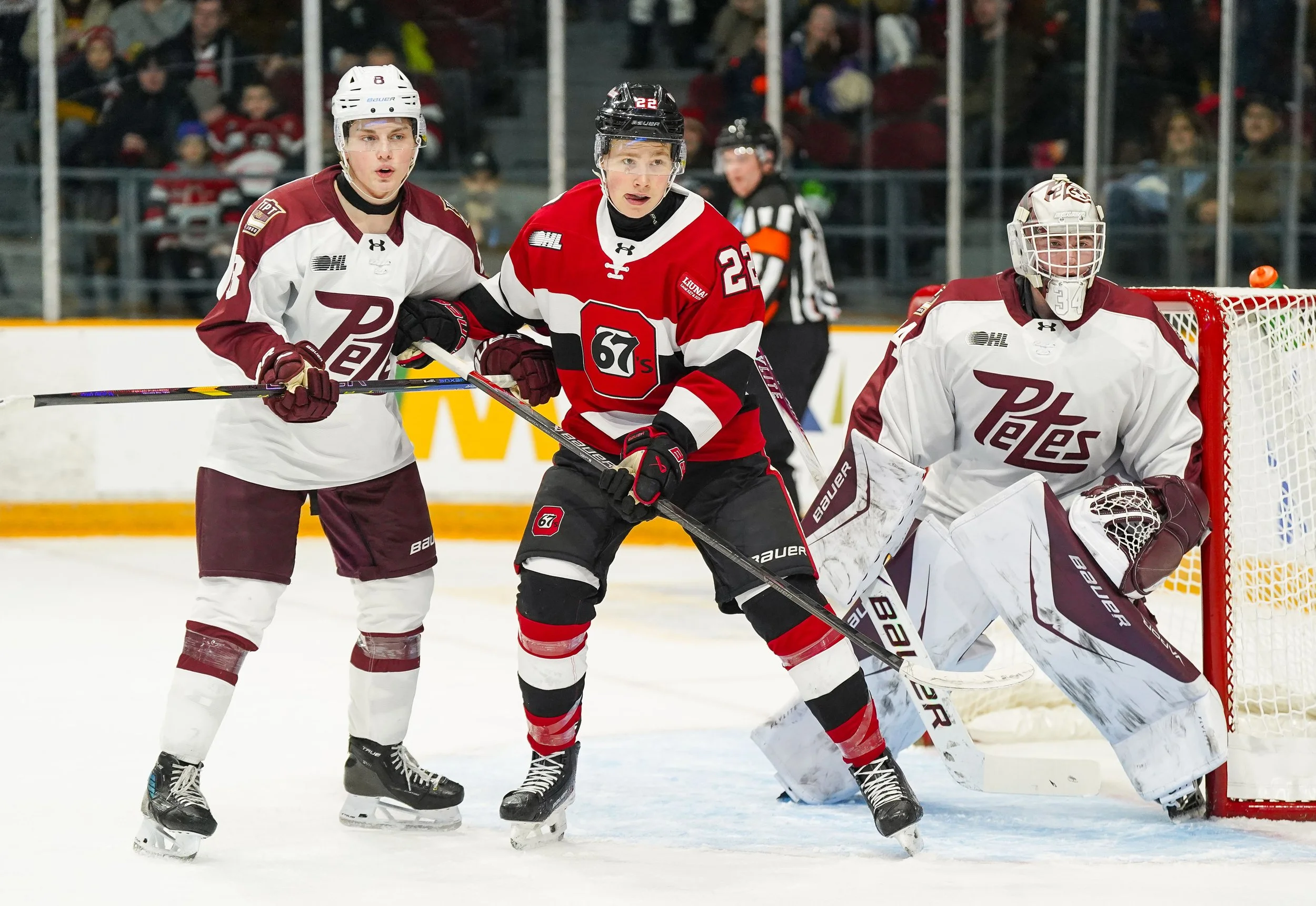 Peterborough Petes Fall To Ottawa 67’s 5-2 During Third Game In Three ...