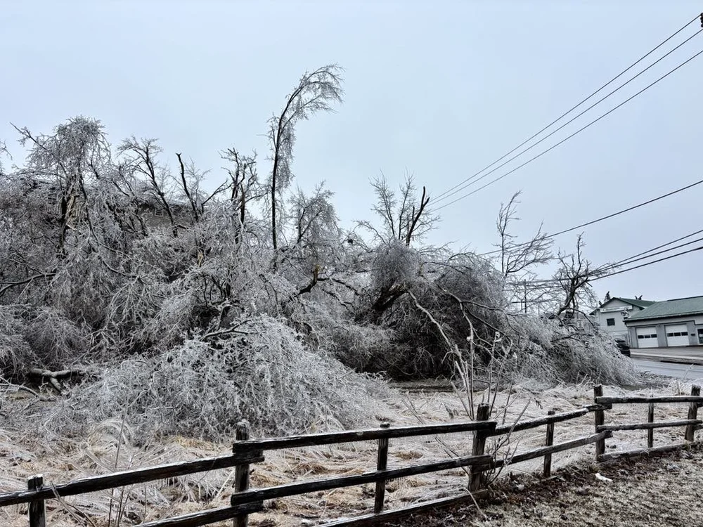 City of Peterborough Remains In State of Emergency As Ice Storm ...