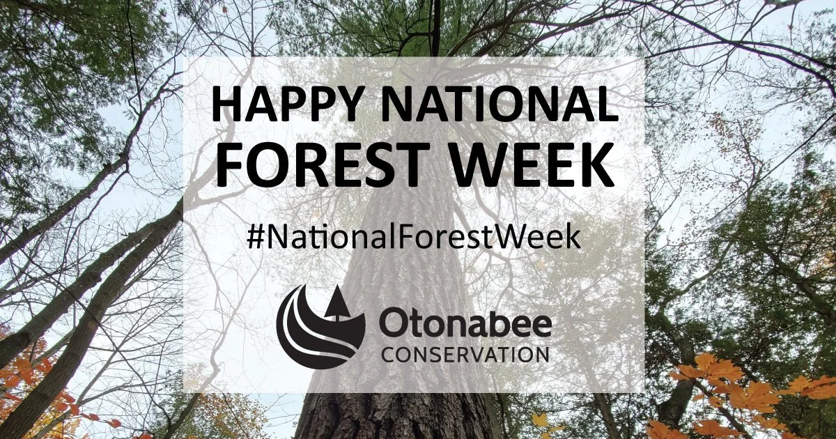 Otonabee Conservation To Plant Over 30,000 Trees For National Forest ...