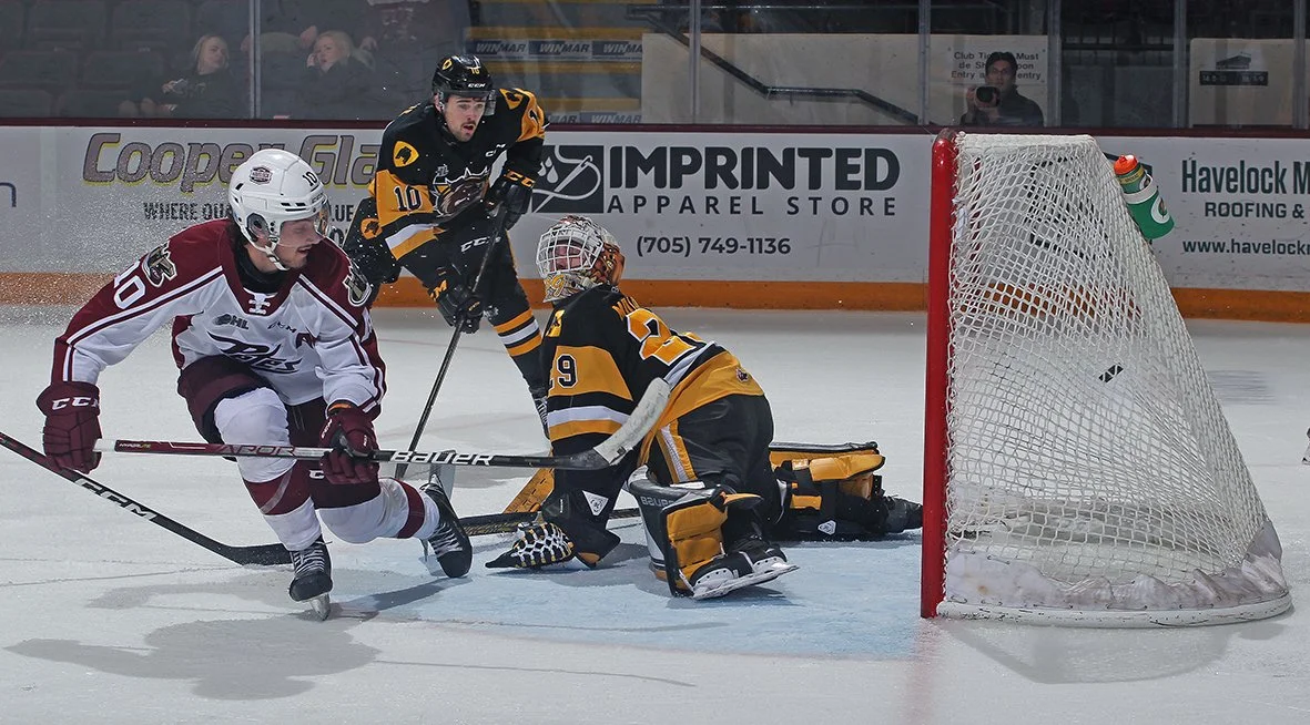 Peterborough Petes Rout Hamilton Bulldogs 8-2; Avon Nets Hat Trick and ...