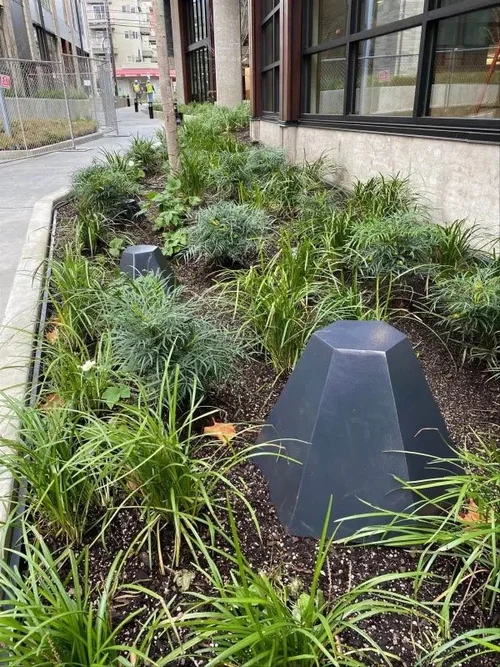 portfolio — sarah fansler lavin