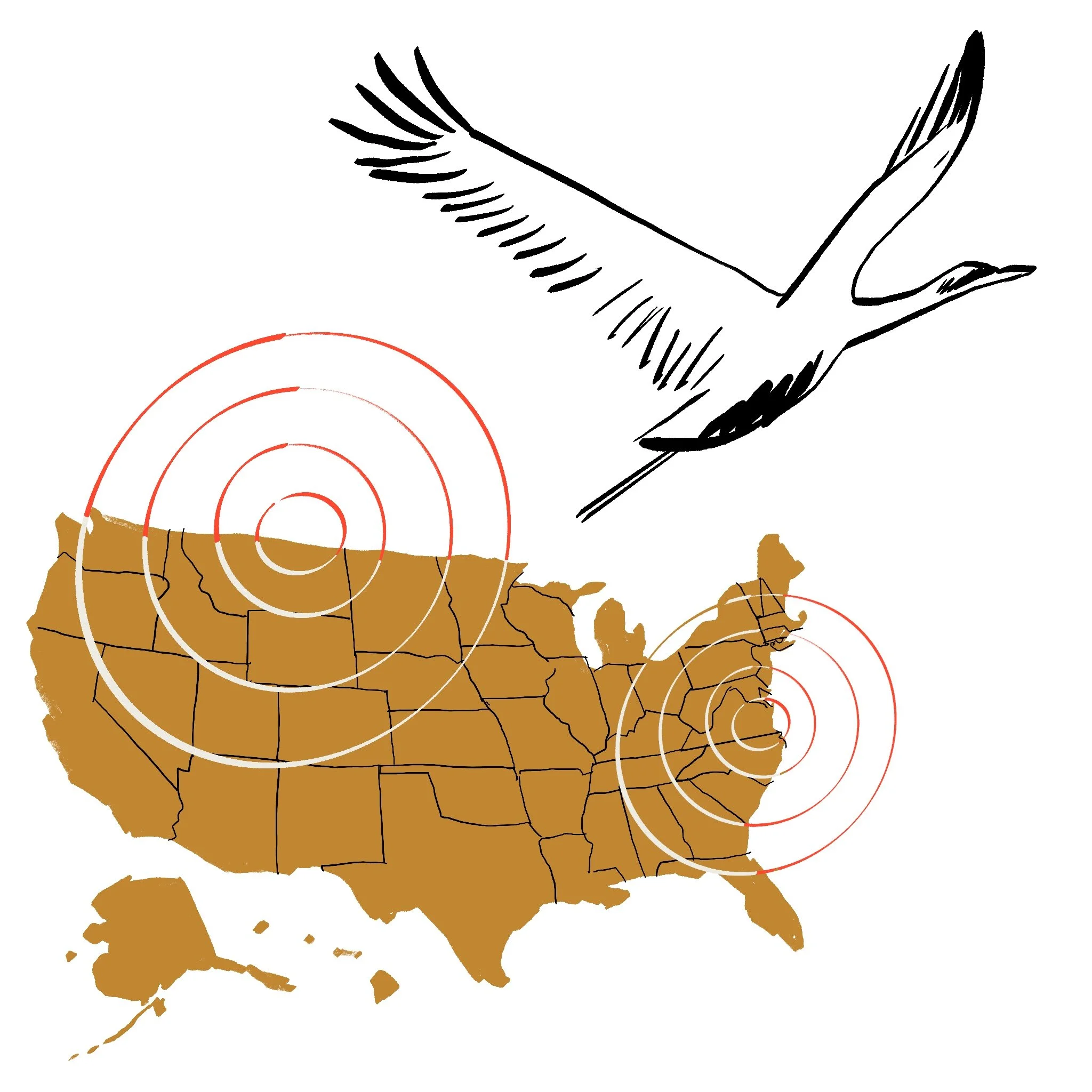 Go Extincts! — Scott Magoon