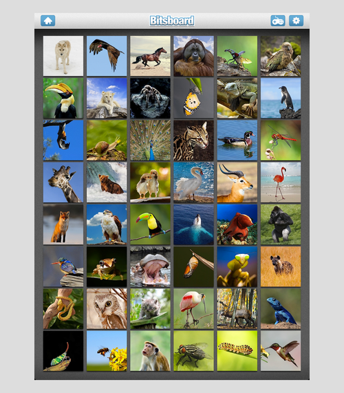 Bitsboard Games — Bitsboard | Flashcards & Mini-Games for Personalized ...