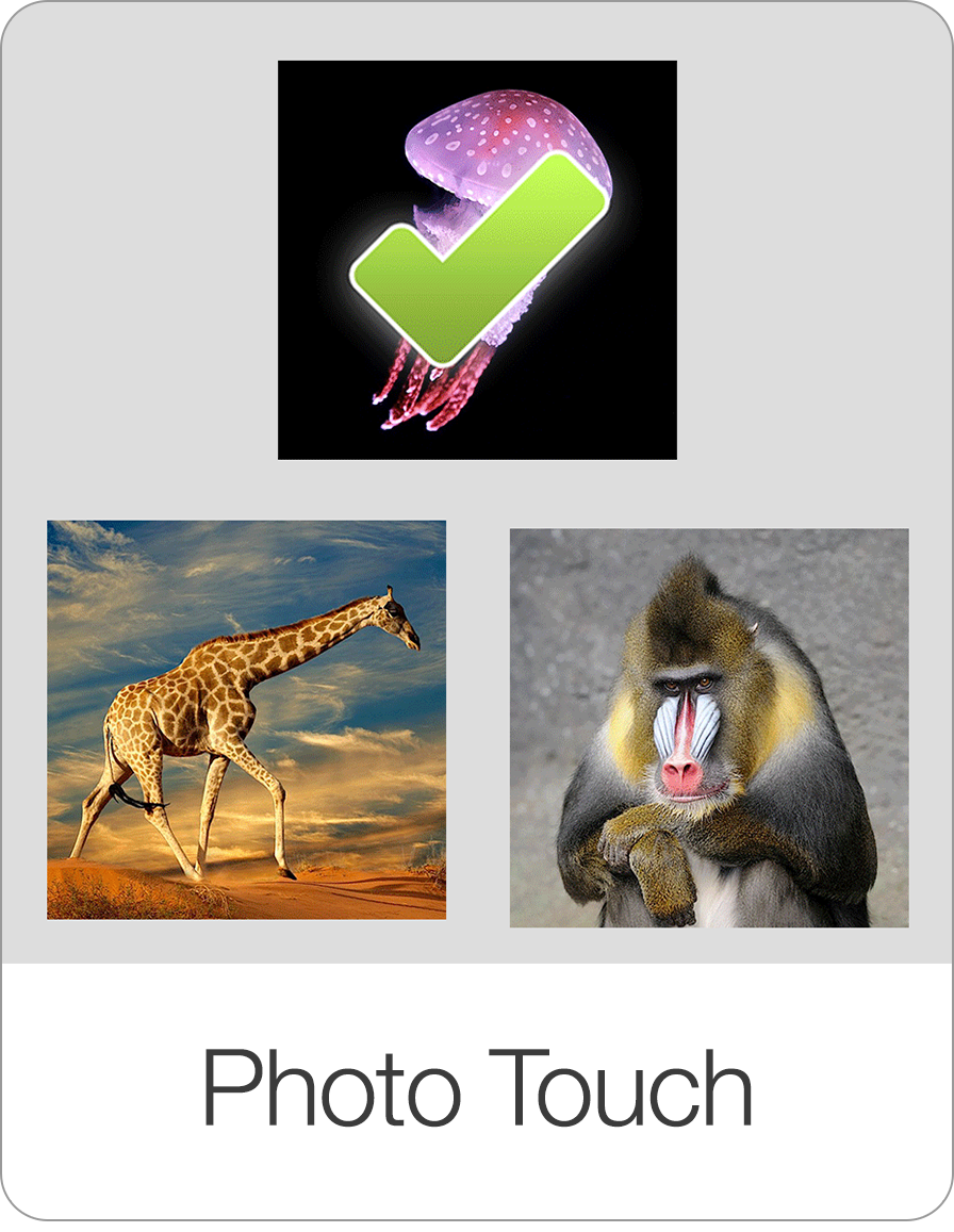 Bitsboard