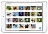 Bitsboard | Flashcards & Mini-Games for Personalized Learning